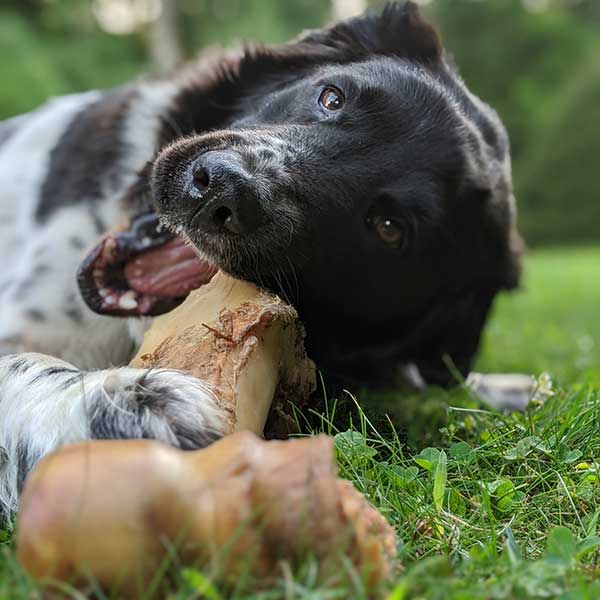 Shop - Trailcrest Farm